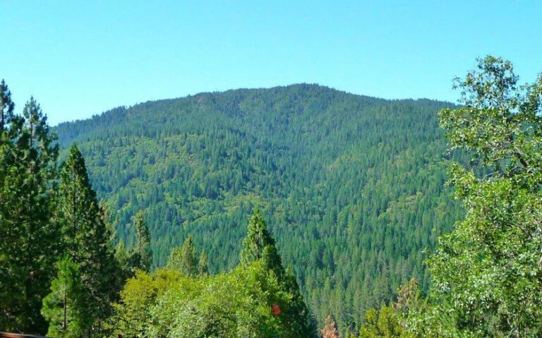 About Us – Explore Cobb CA